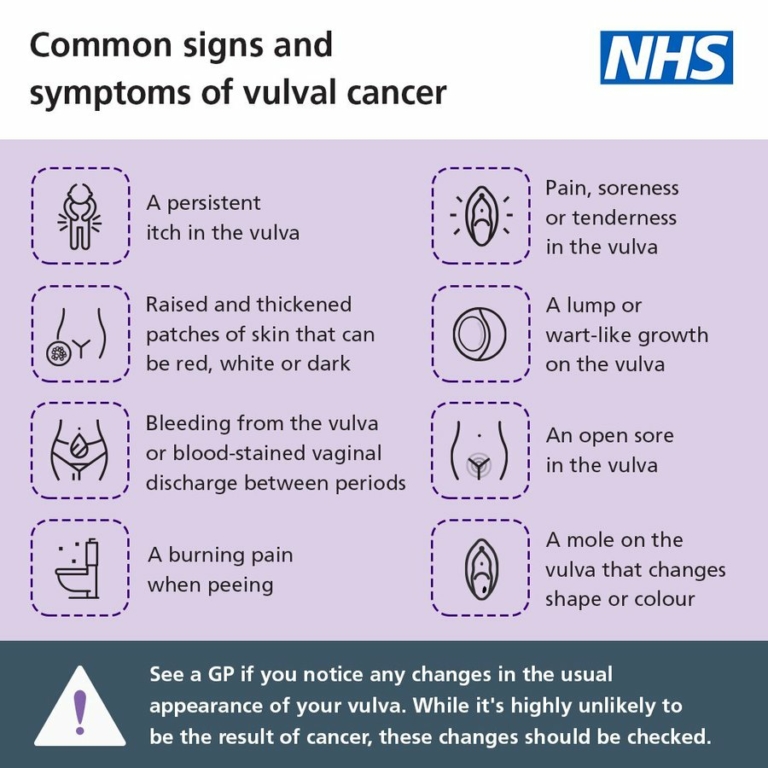 How is the vulva different from the vagina?