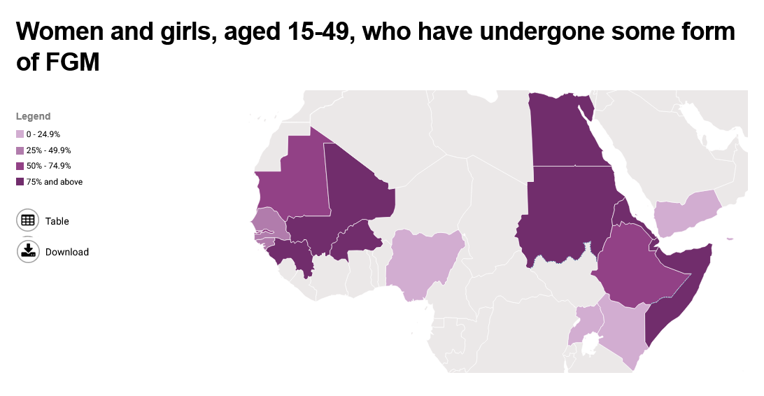 International Day of Zero Tolerance for Female Genital Mutilation